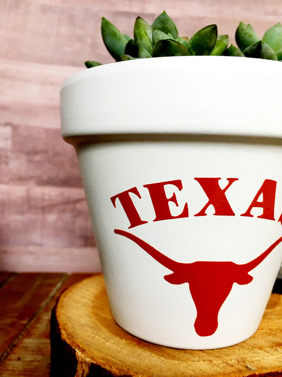 Texas Longhorn – Knox Pots